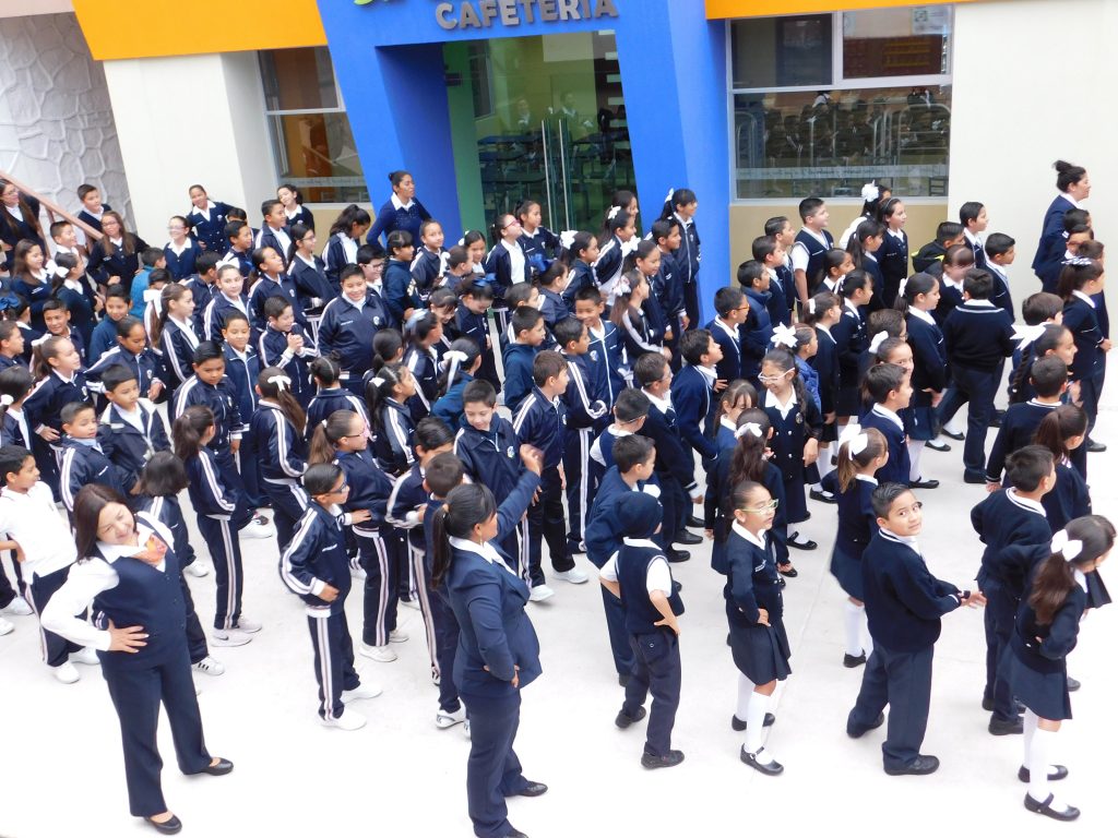 Primaria – Colegio del Centro